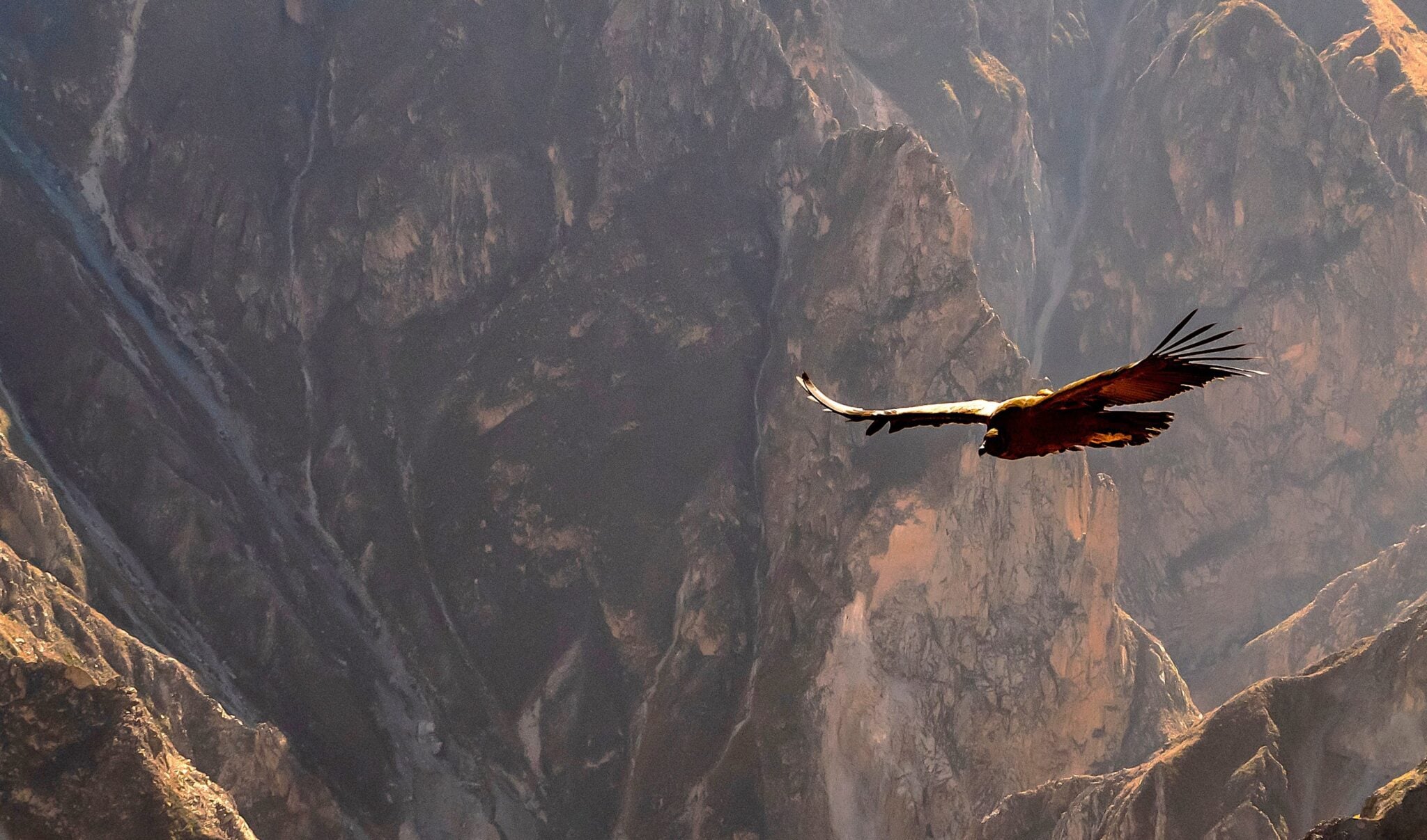 Peruvian Paths: A Luxury Journey Through Undiscovered Peru| The Evolved ...