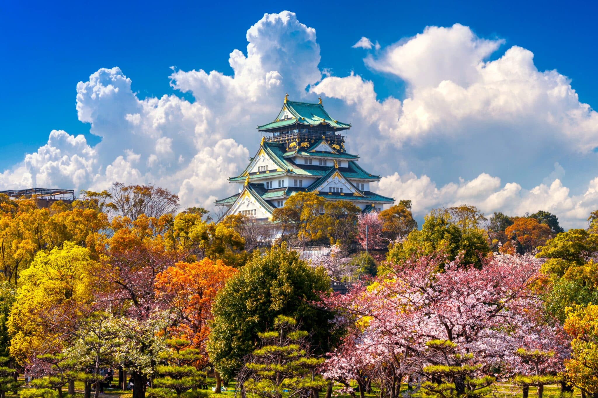 Japan: Samurai Paths & Sacred Islands | The Evolved Traveler